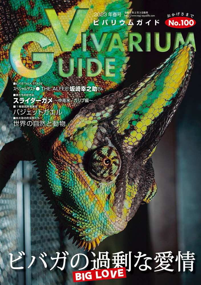 ビバリウムガイドNo.100は2023年2月3日発売！ ｜ エムピージェー